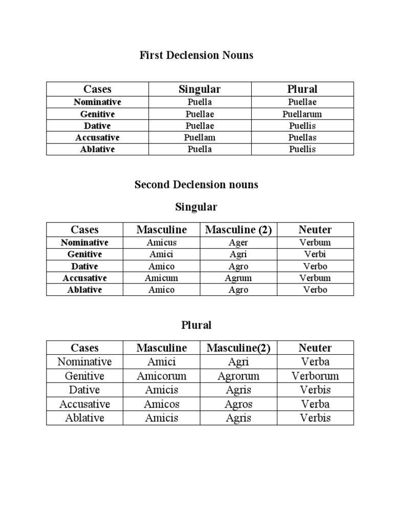 First Declension Nouns Cases | PDF