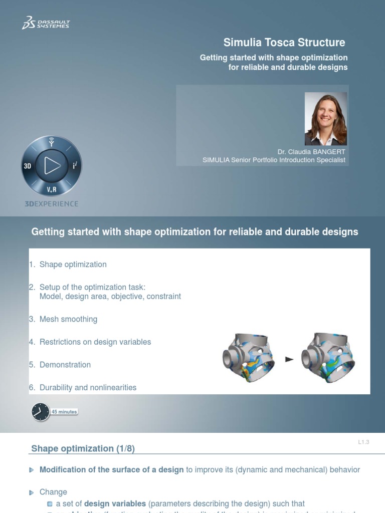 TOSCA Structure 81 Short Seminar | PDF | Mathematical Optimization | Analysis