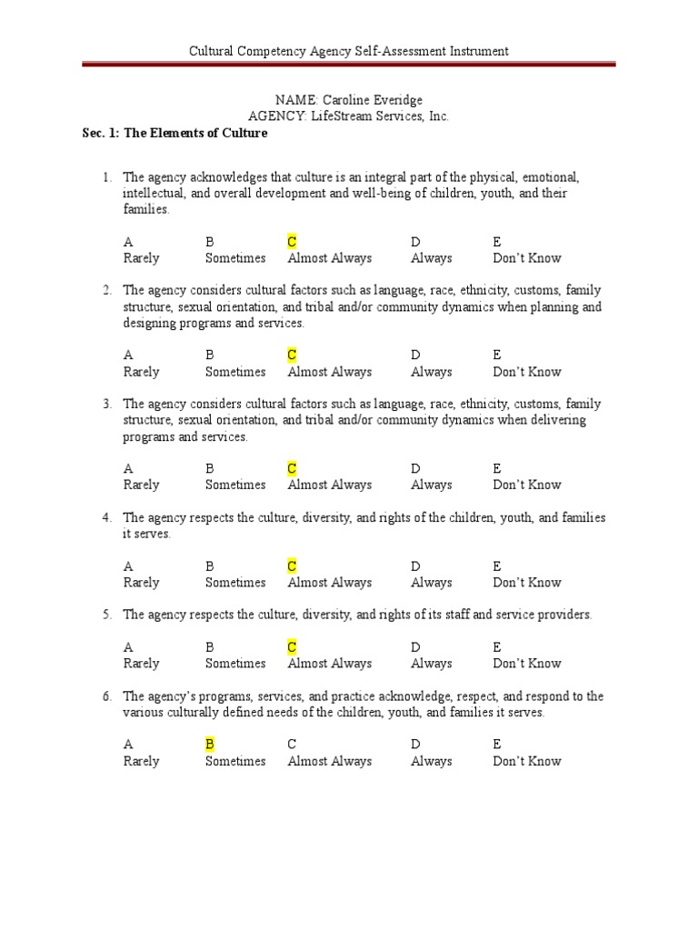 Cultural Competency Assessment - Lifestream | PDF | Competence (Human ...