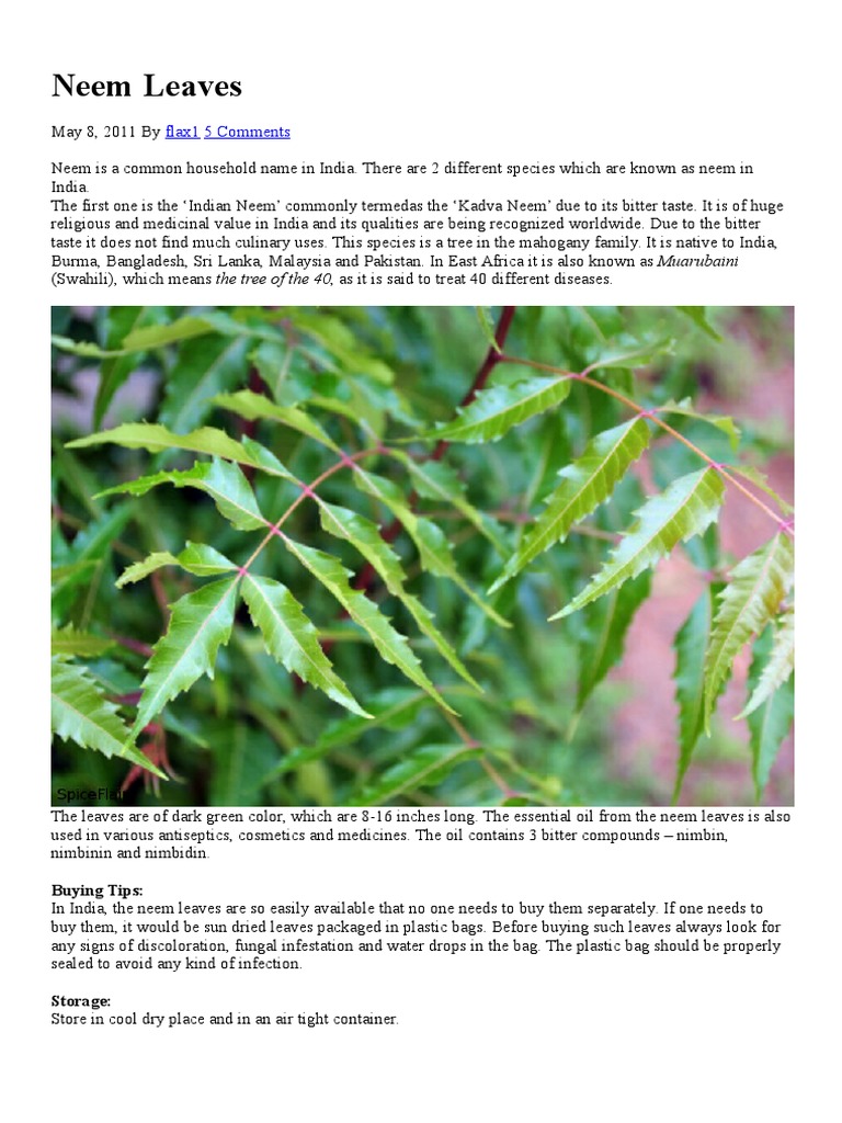 Neem Leaves | PDF | Curry | Food And Drink