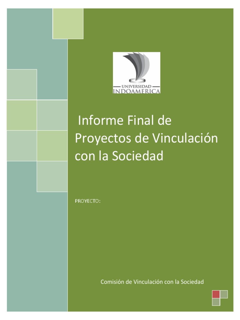 Informe Final Proyectos | PDF | Presupuesto | Science