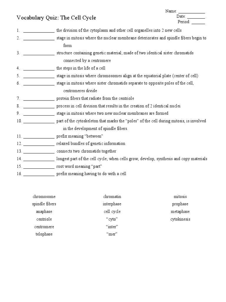 Vocabulary Quiz-Cell Cycle | PDF | Technology & Engineering