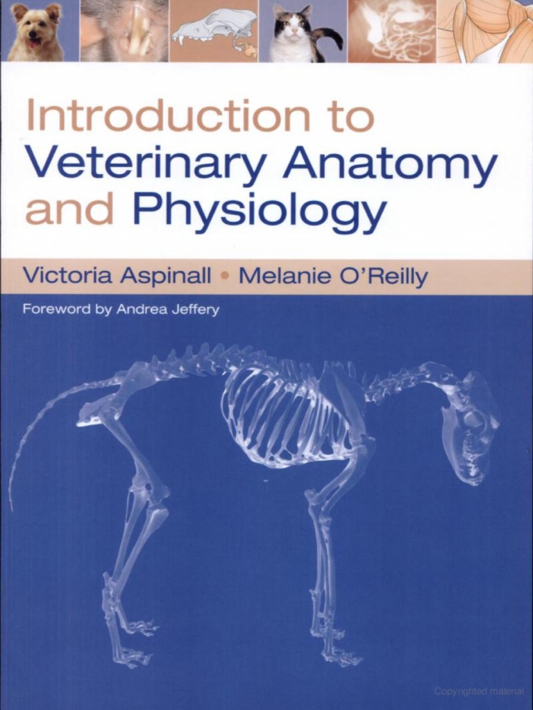 Introduction To Veterinary Anatomy and Physiology | PDF Introduction To Veterinary Anatomy and Physiology | PDF