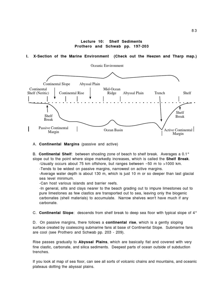 Shelf Sediments | PDF | Continental Shelf | Sediment