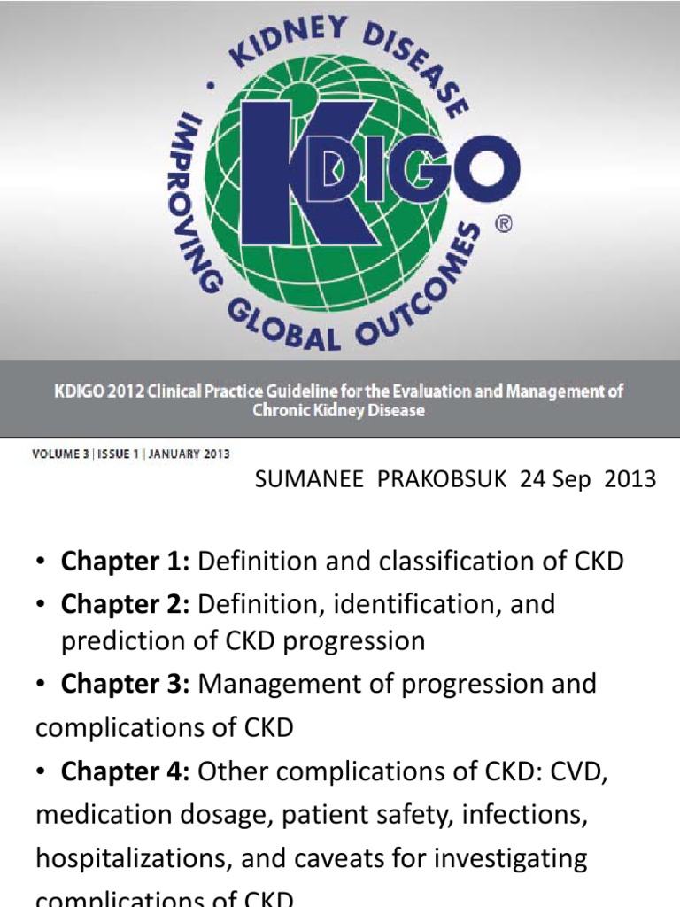 Kdigo Logo