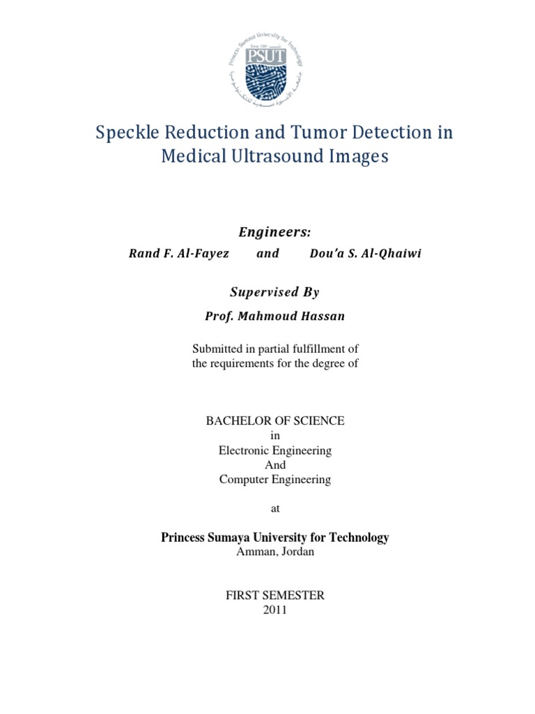 Final Senior Project Documentation | PDF | Medical Imaging | Medical Ultrasound