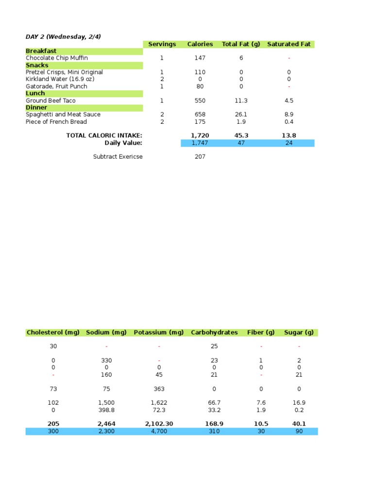 Daily Caloric Intake Report: Day 2 | PDF