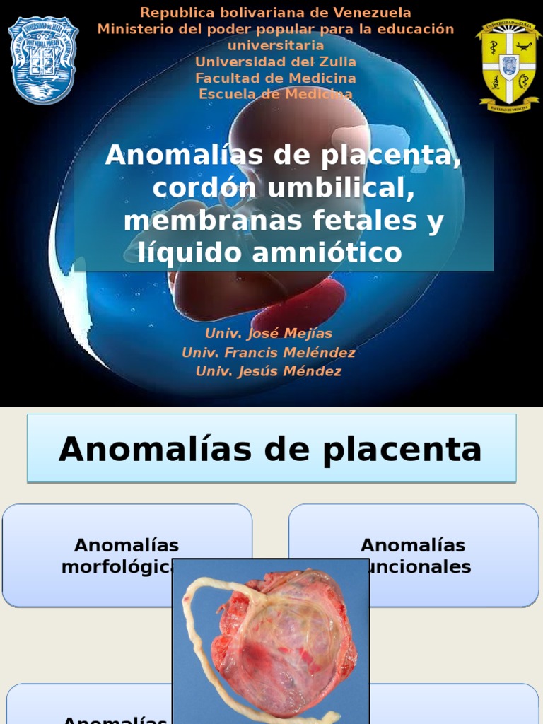 Anomalías Placenta, Cordón, Mf y Liq Amnio. | Placenta | El embarazo