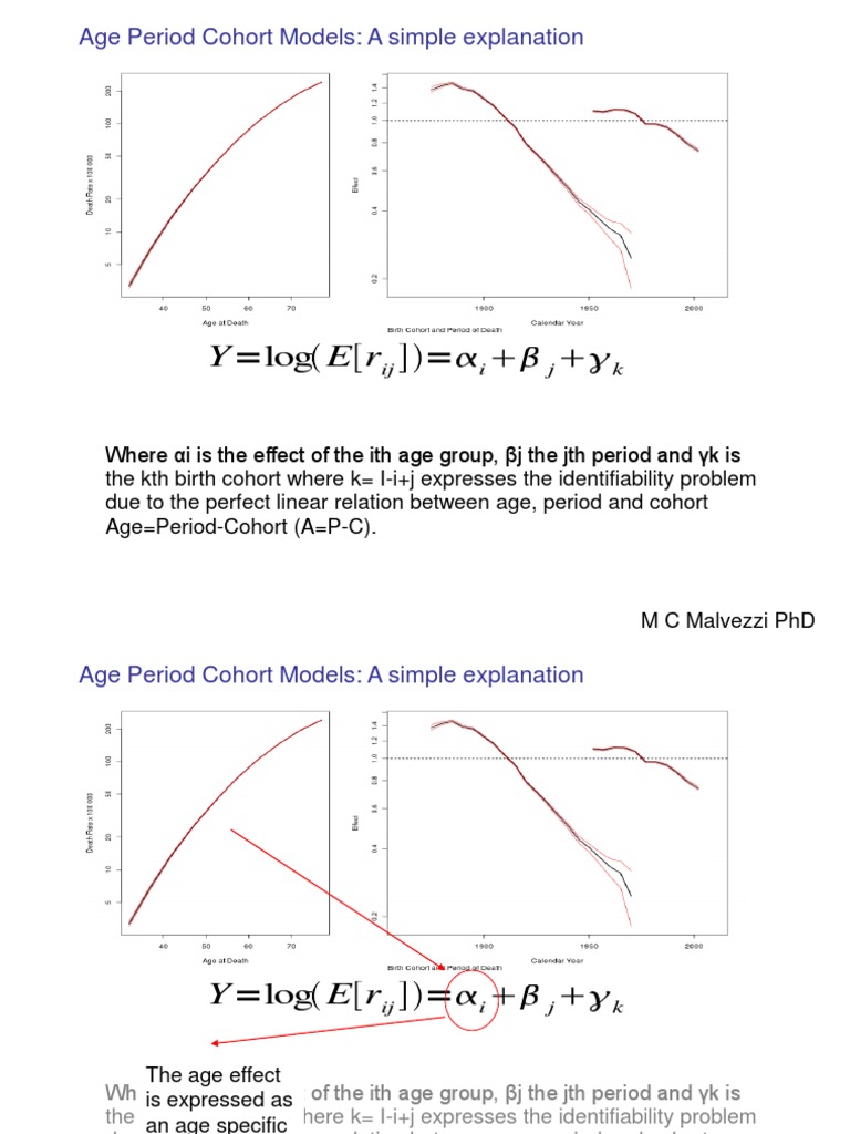 Age-Period-Cohort Model Explained | PDF