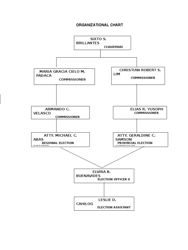 Organizational Chart of Election Officials | PDF