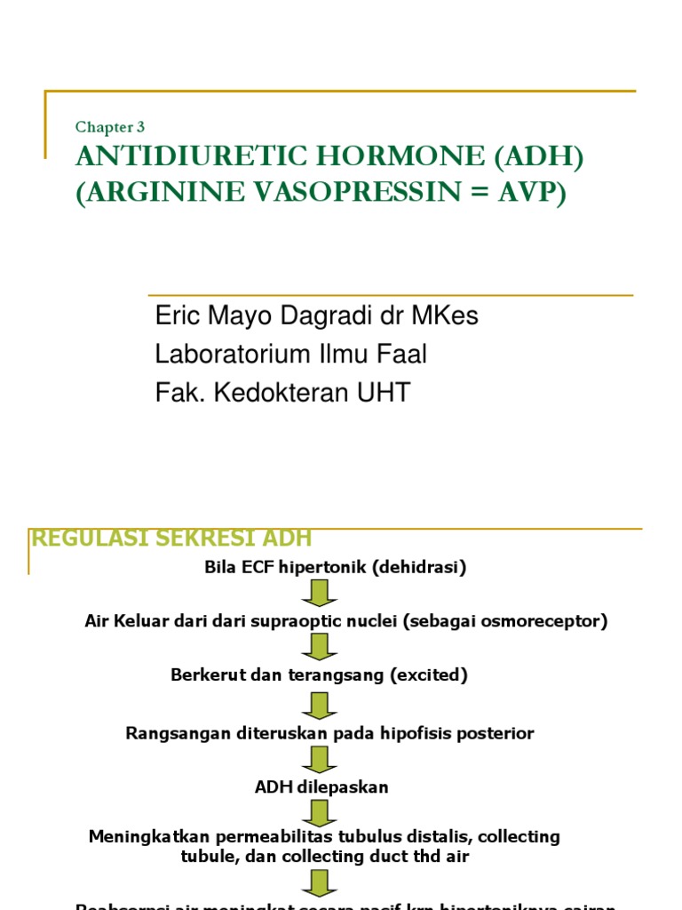 Antidiuretic Hormone (Adh) | PDF | Kesehatan Holistik