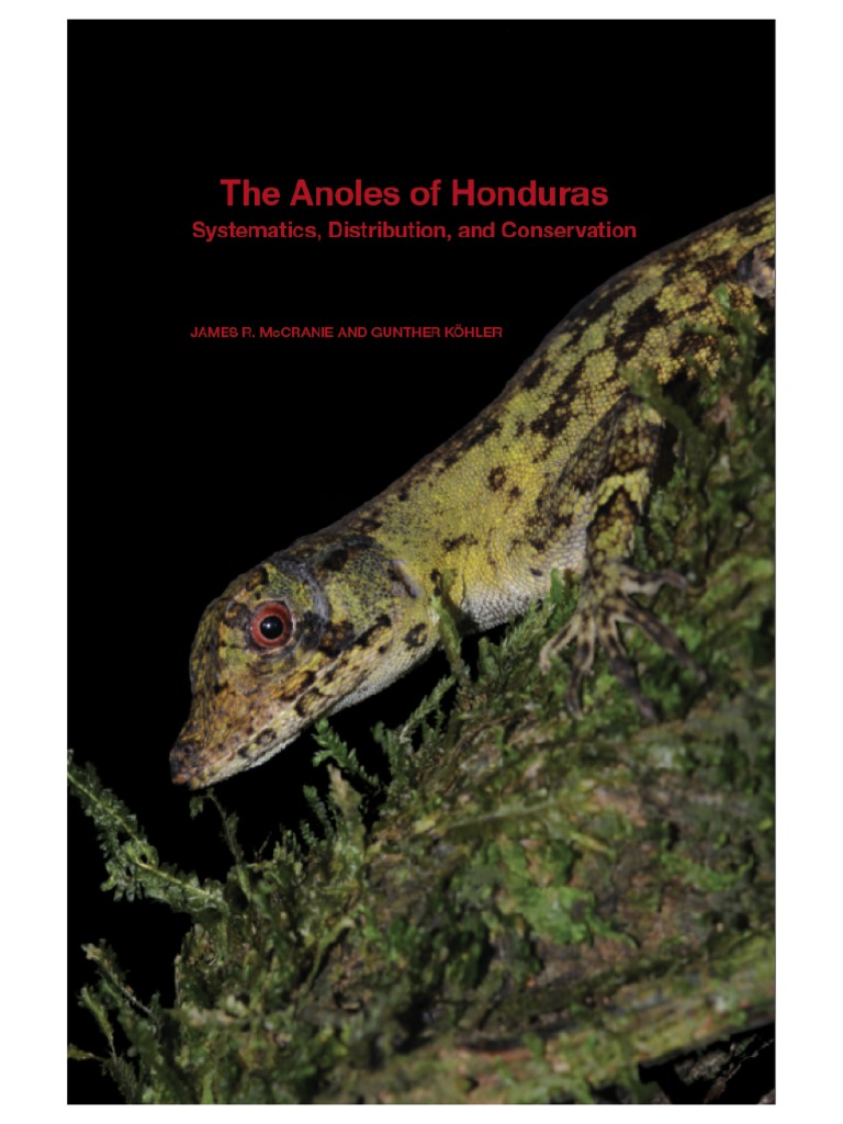 Anoles of Honduras | PDF | Scientific Classification | Lizard