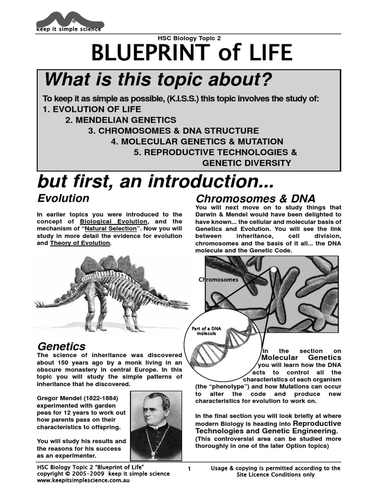 Blueprint of Life | PDF | Genetics | Zygosity