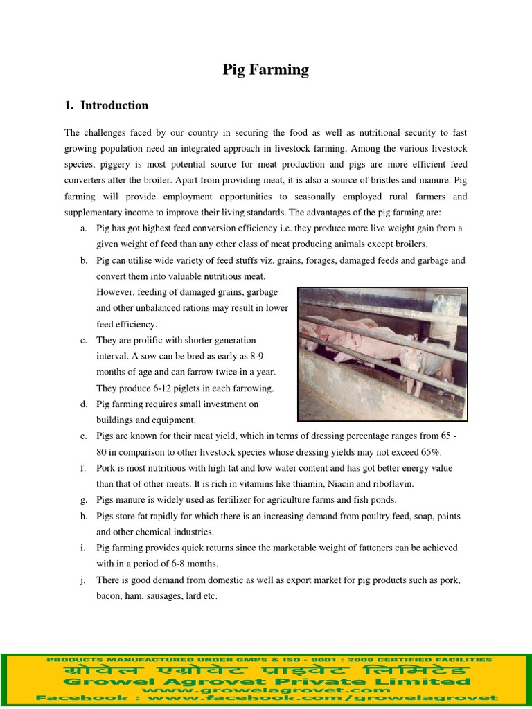 NABARD Pig Farming Project PDF | PDF | Finance & Money Management ...
