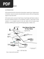 PNGRB Guidelines | PDF | Natural Gas | Pipeline Transport