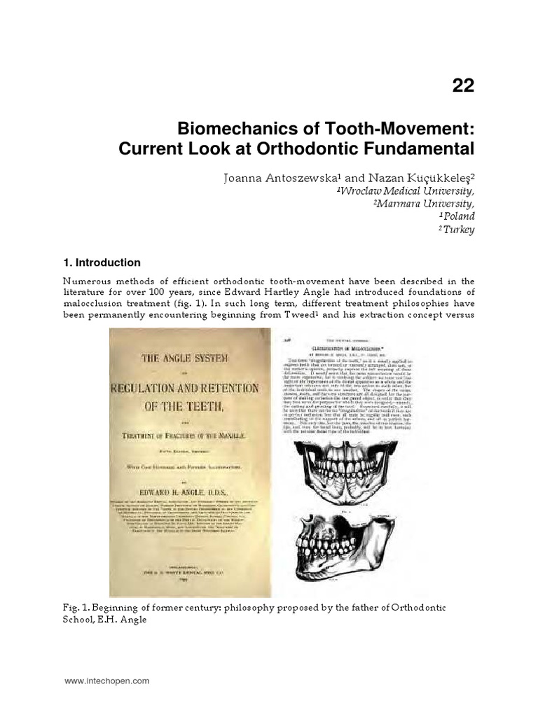 Biomechanics of Tooth Movement Current Look at Orthodontic Fundamental ...