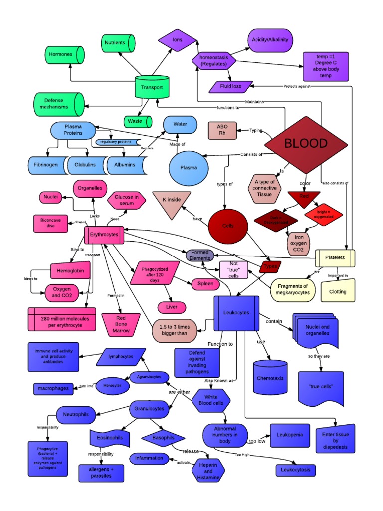 Blood Concept Map | PDF