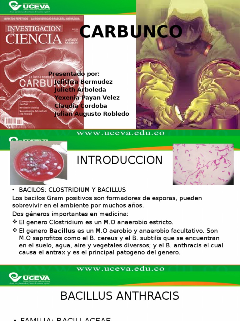 Exposición Sobre Carbunco | PDF | Ántrax | Biología
