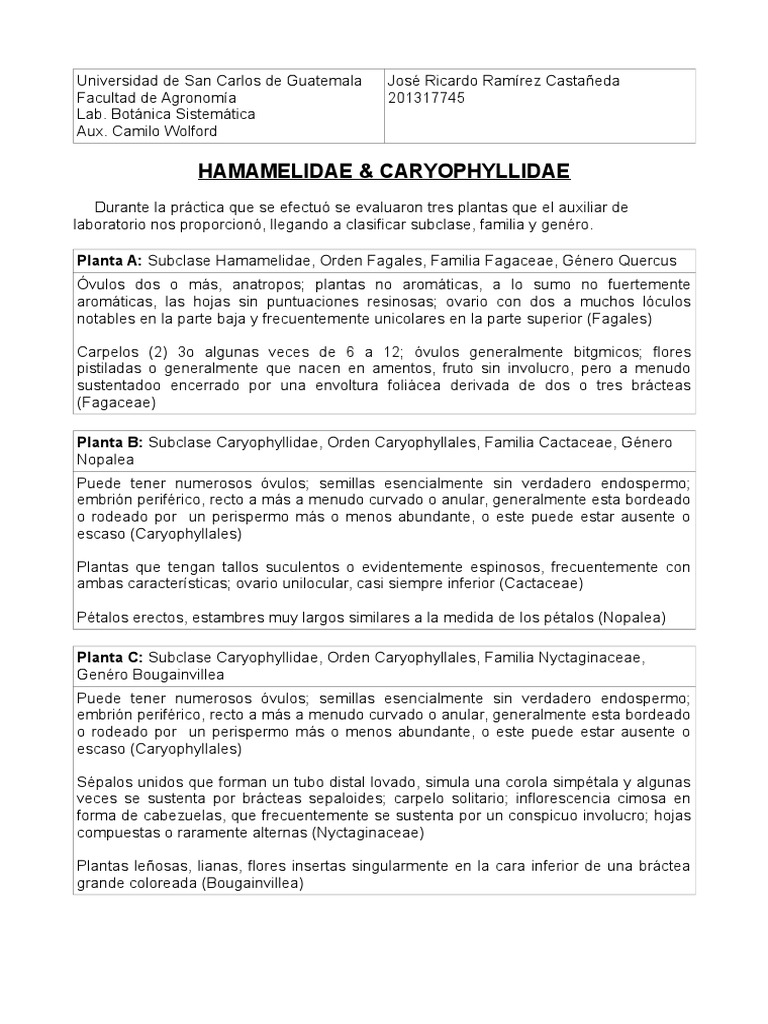 Hamamelidae / Caryphillidae Botanica | PDF | Plantas | Taxonomía (biología)