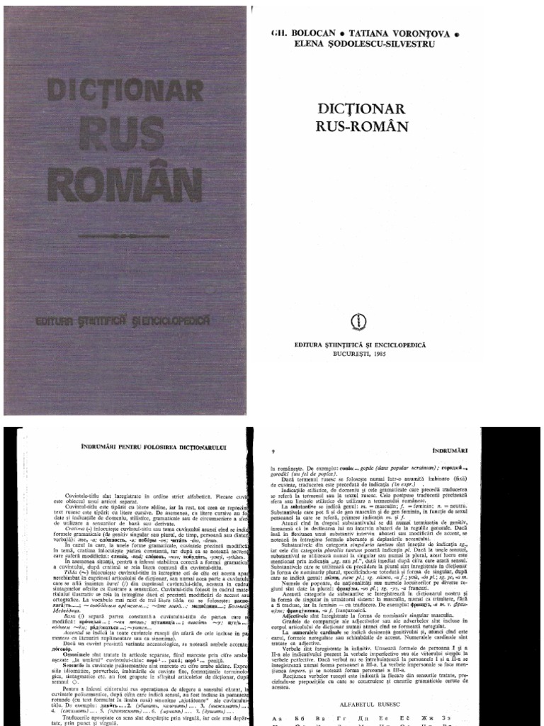 Dictionar Rus Roman PDF | PDF