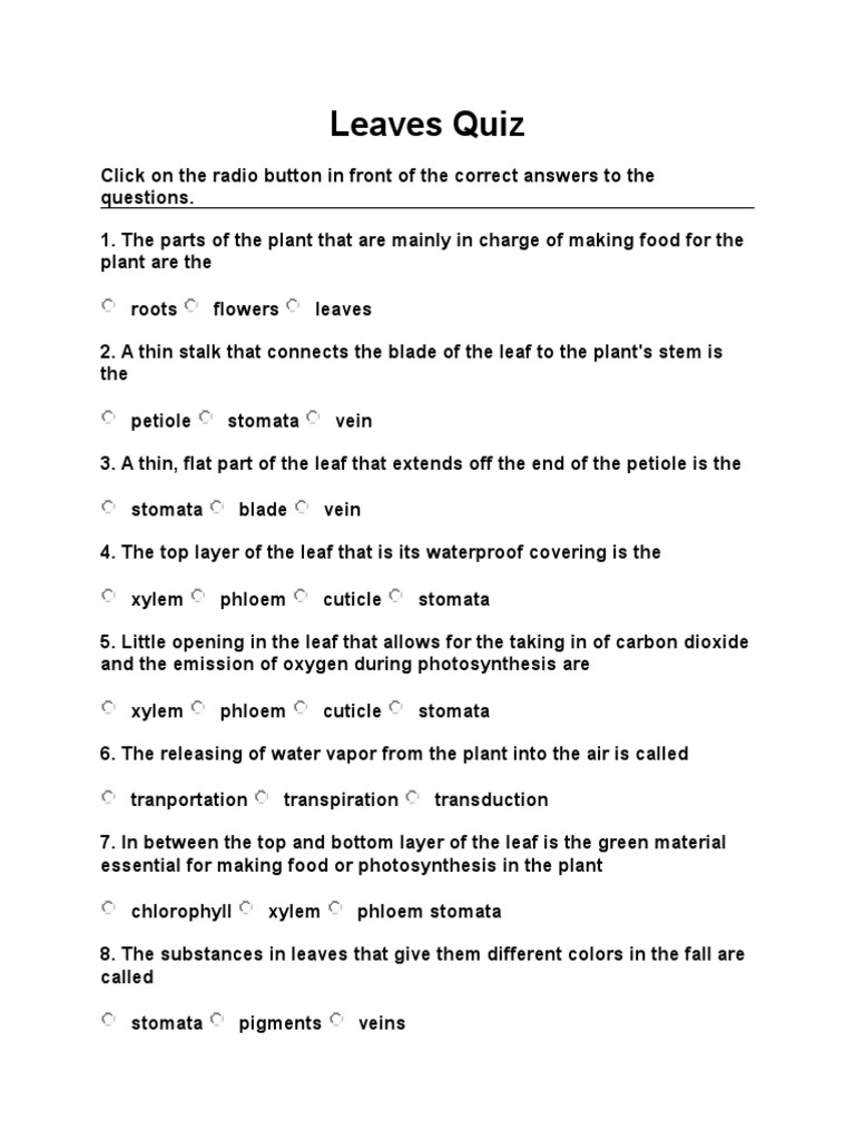 Plant Leaf and Stem Anatomy Quiz | PDF | Plant Stem | Tissue (Biology)