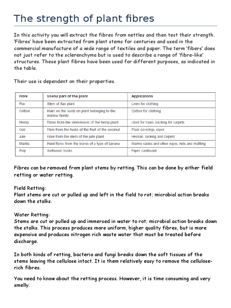 Plant Fibre Strength Experiment | PDF | Home & Garden | Science ...