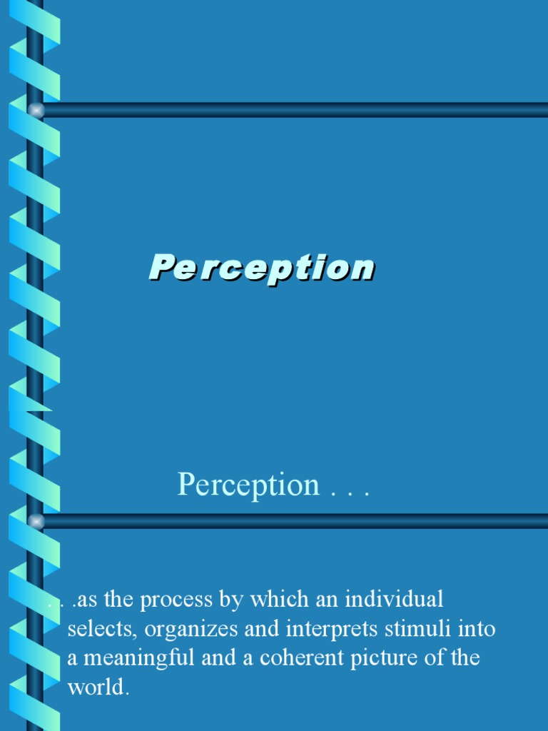 Perception | PDF