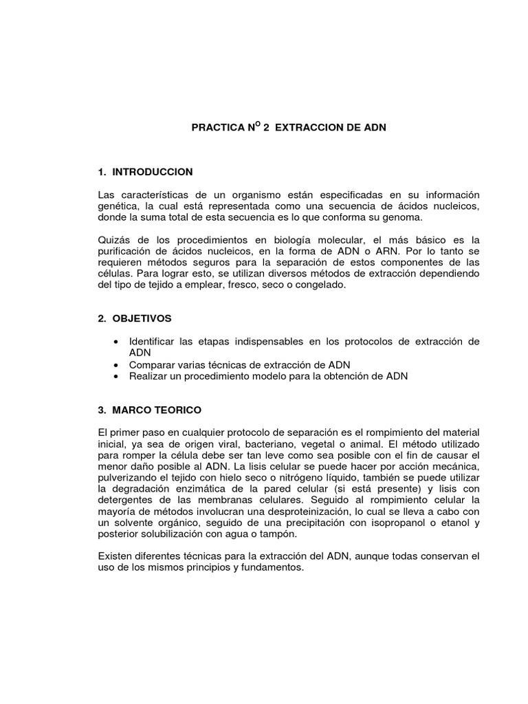 Practica No 2 Extraccion de Adn | PDF | Adn | Ácidos nucleicos