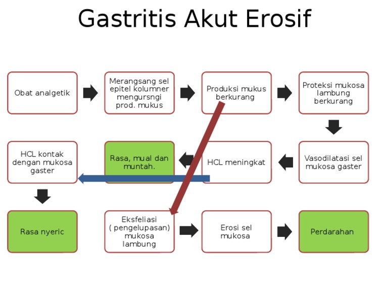 Patofisiologi Gastritis Akut Erosif