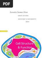 Epithelial Tissues Mnemonics | PDF | Epithelium | Organ (Anatomy)