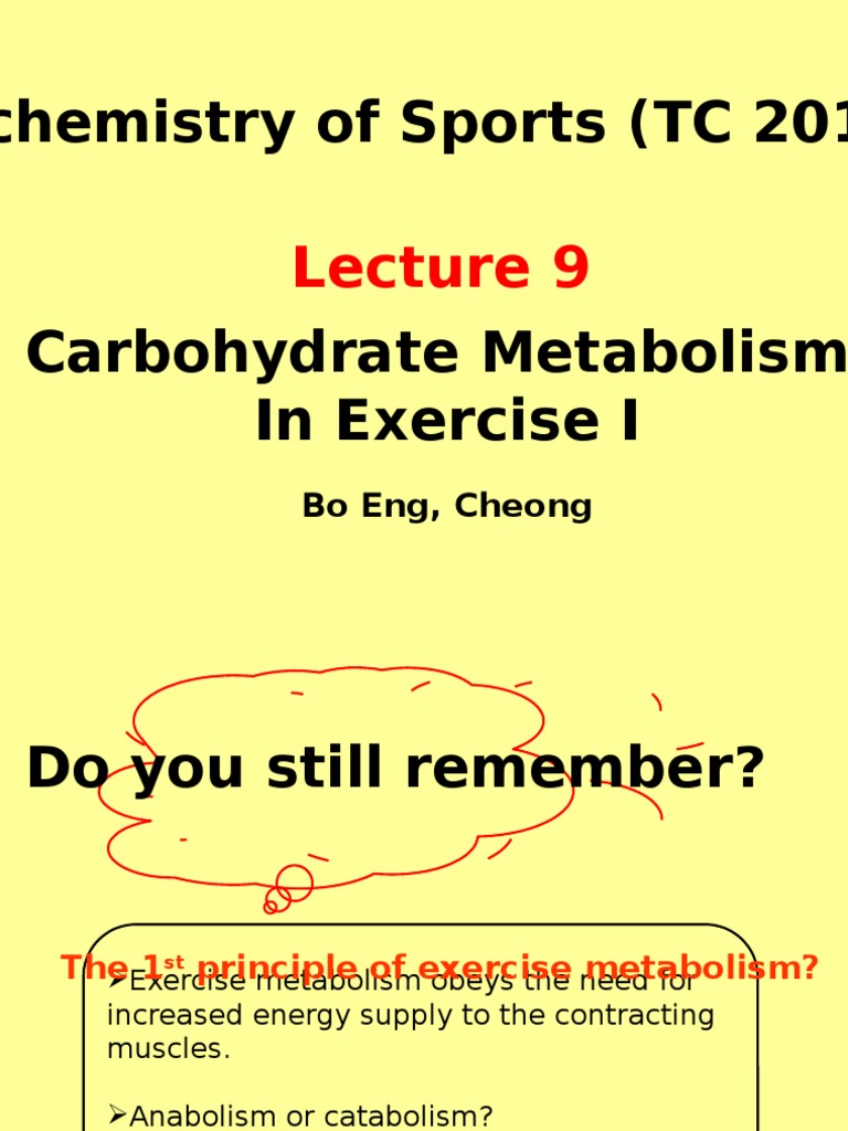 Carbohydrate Metabolism in Exercise | PDF | Glycolysis | Glycogen