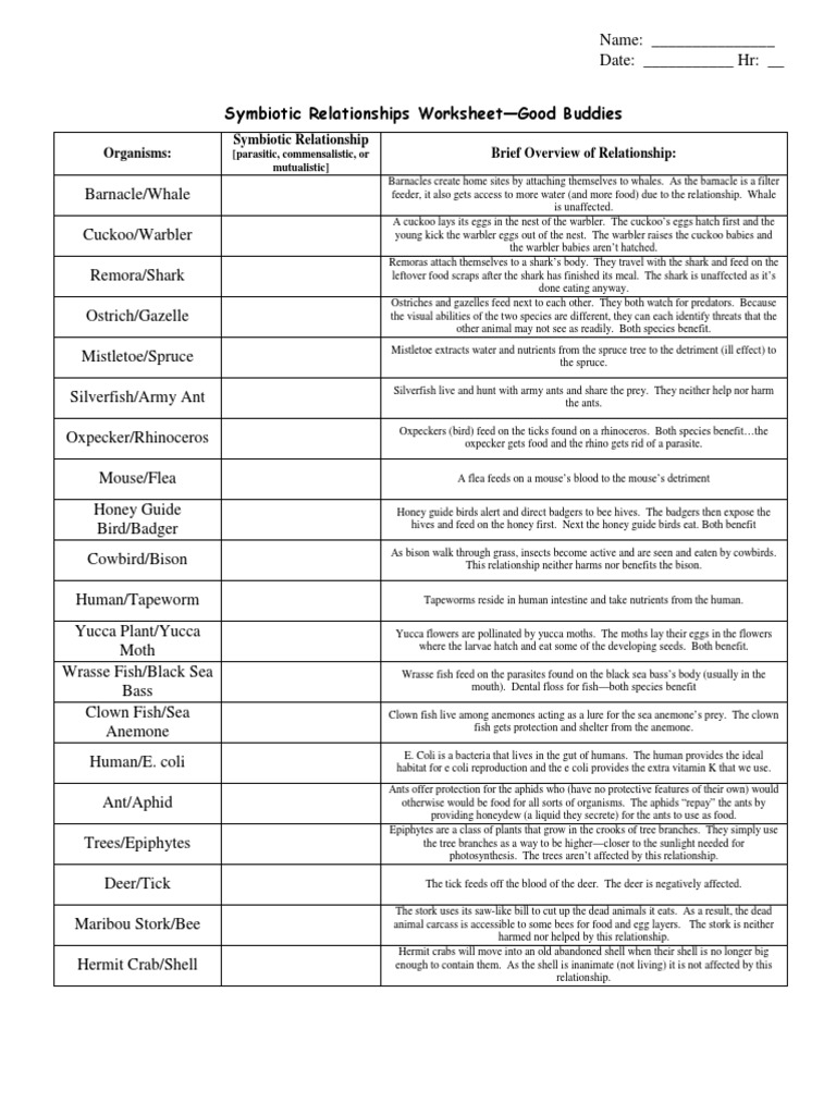 Symbiotic Relationships Worksheet | PDF | Ant | Parasitism