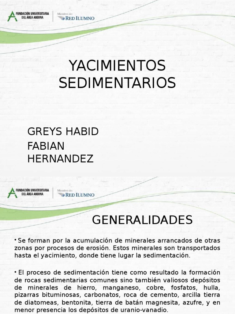 Yacimientos Sedimentarios. | PDF | Caliza | Calcita