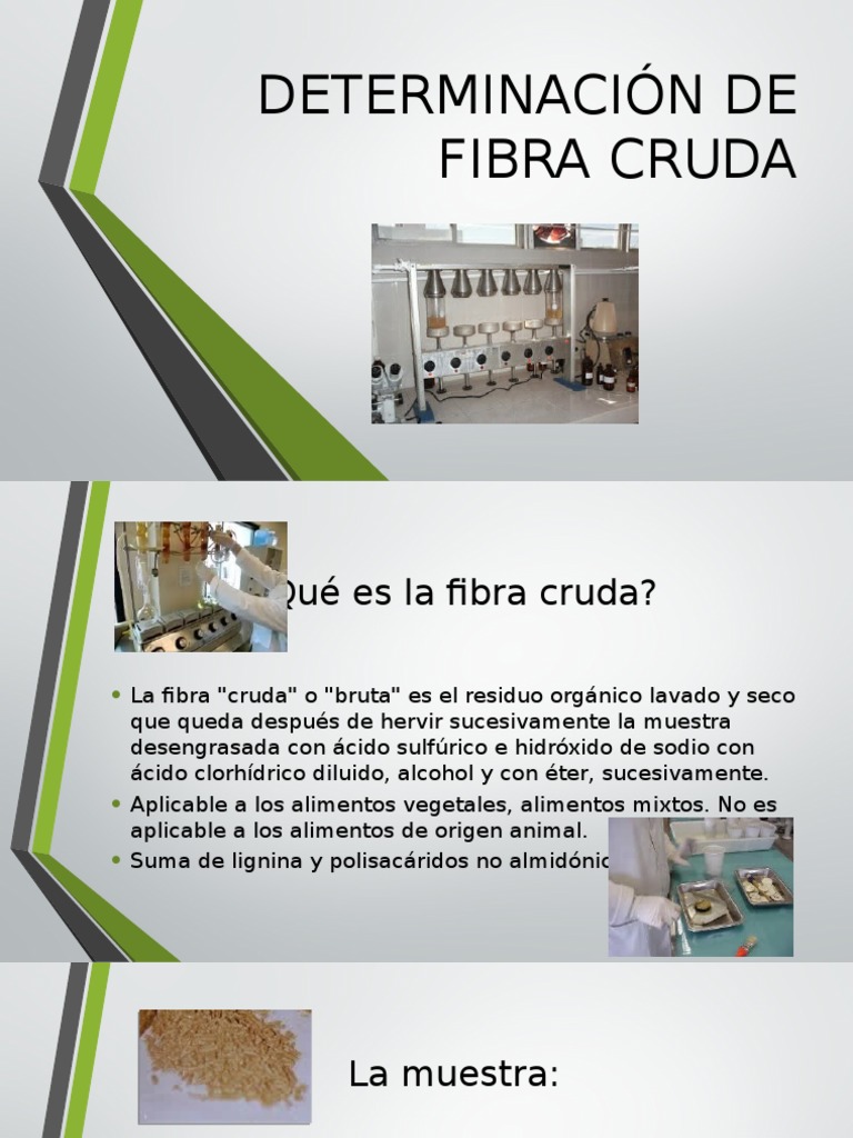 Determinacion de Fibra Cruda | PDF