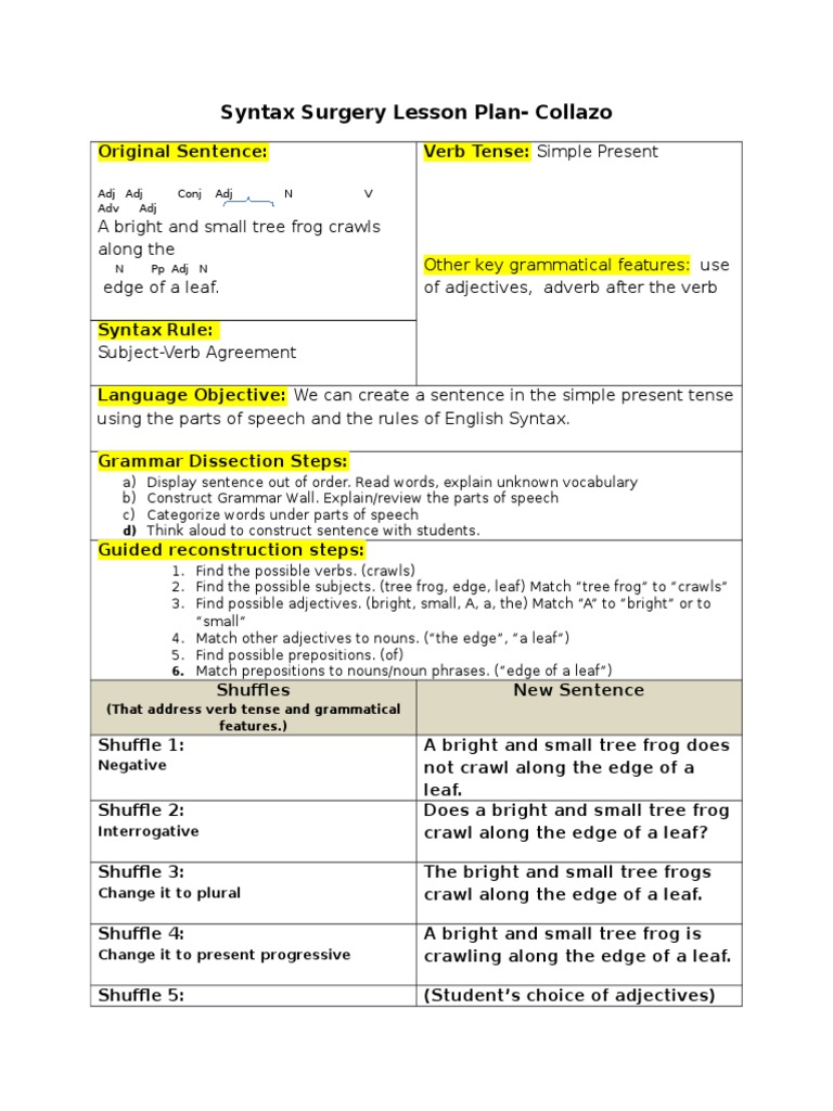 Syntax Surgery Lesson Plan Example | PDF | Verb | Adjective