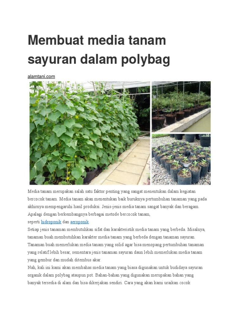 Membuat Media Tanam Sayuran Dalam Polybag | PDF