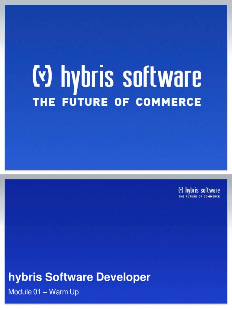 Hybris Software Developer Training Overview | PDF | Application ...