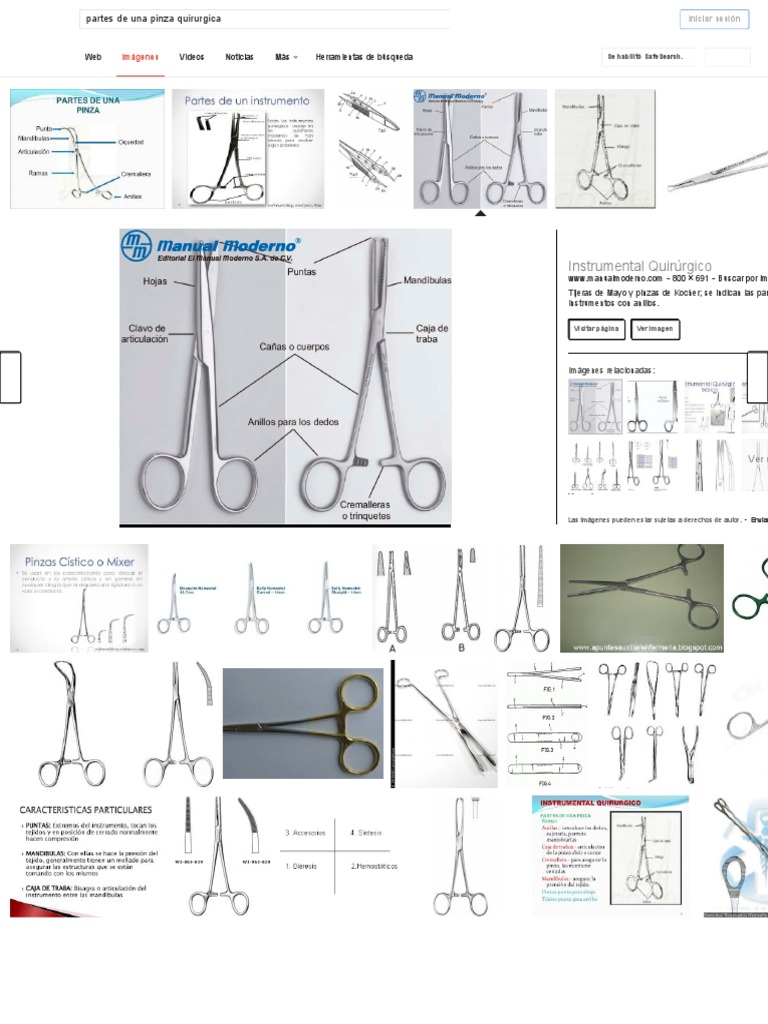 Partes de Una Pinza Quirurgica