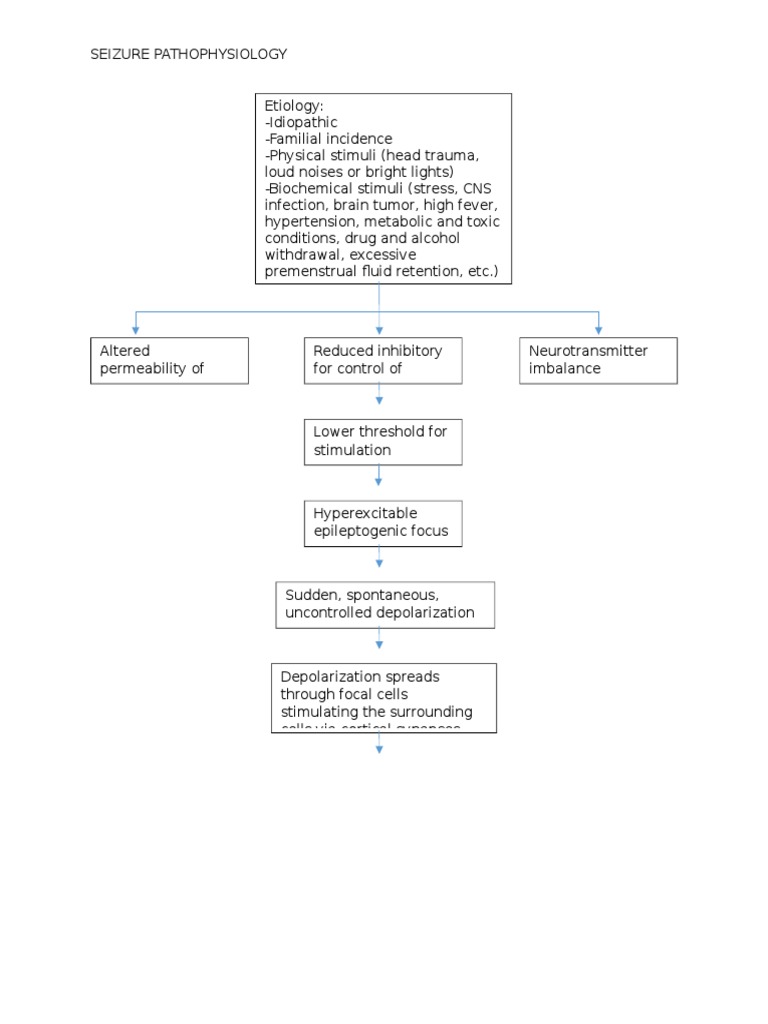 Seizure Pathophysiology