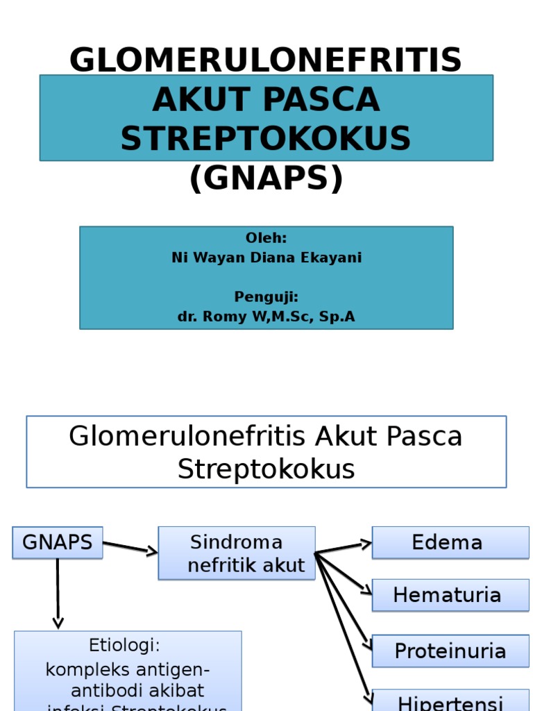 Glomerulonefritis Akut Pasca Streptokokus (Gnaps) | PDF Glomerulonefritis Akut Pasca Streptokokus (Gnaps) | PDF