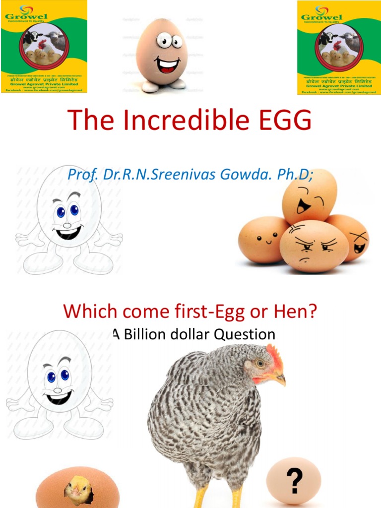 The Incredible EGG | PDF | Egg As Food | Omega 3 Fatty Acid