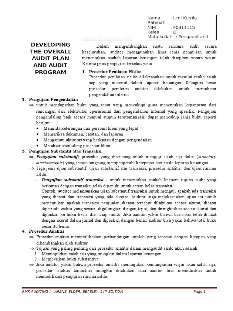 Developing The Overall Audit Plan and Audit Program | PDF