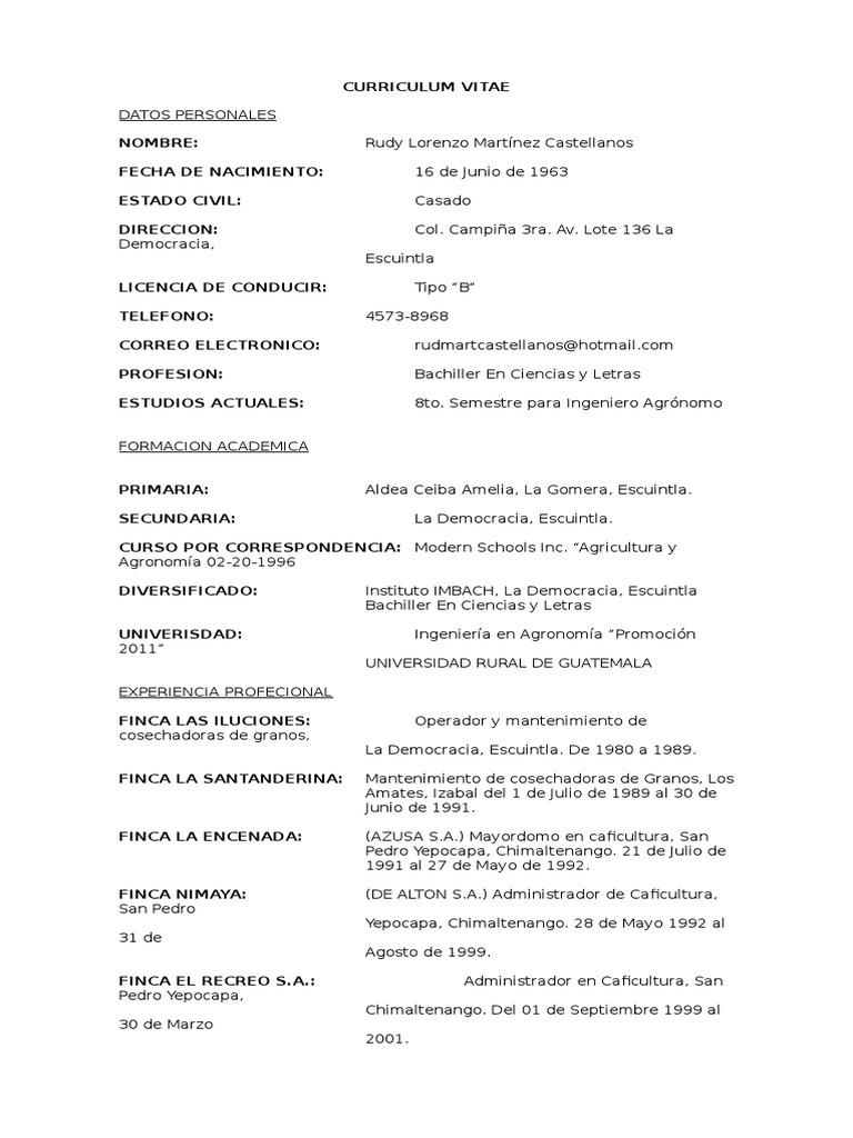 Currículum de Rudy Martínez Castellanos | PDF