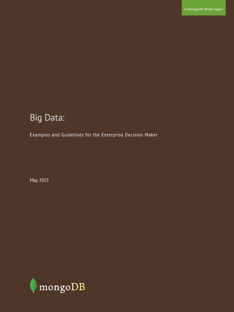 10gen Big Data White Paper | PDF | Big Data | Analytics