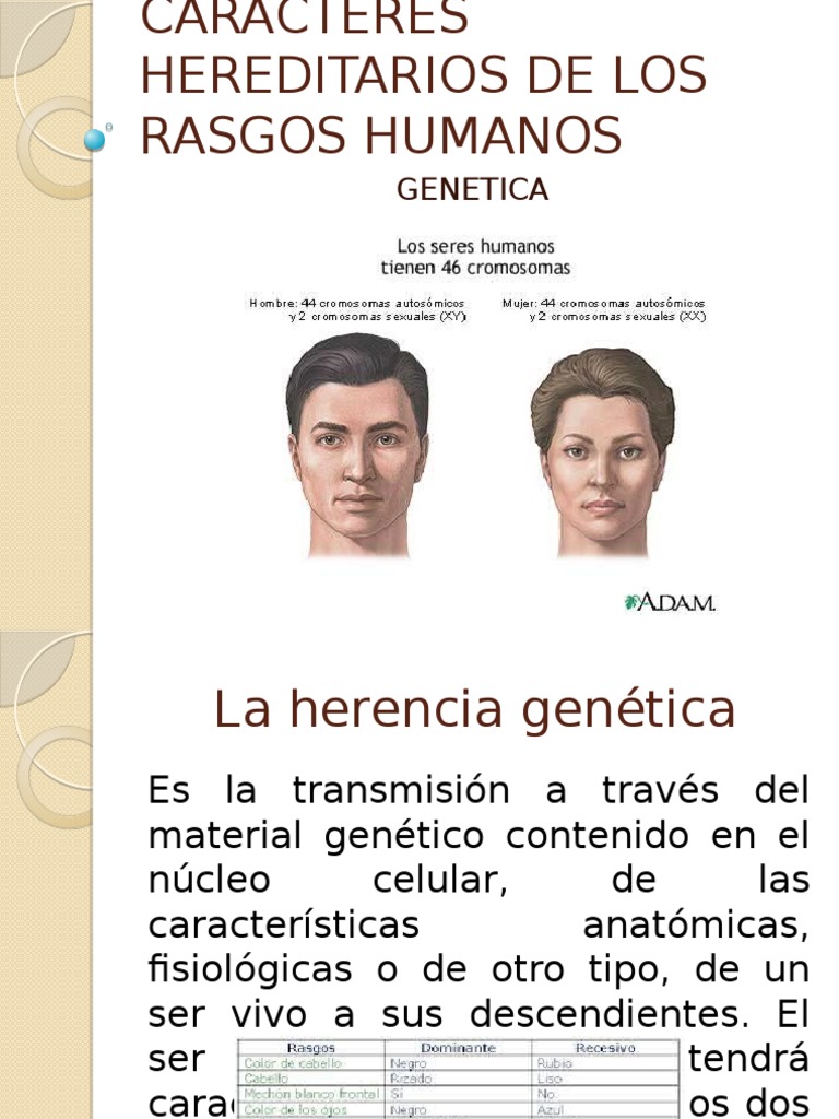 Caracteres Hereditarios de Los Rasgos Humanos | PDF