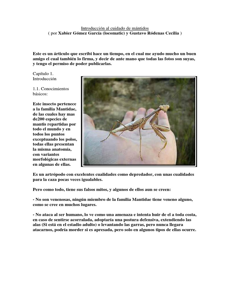 Introduccion Al Cuidado de Mantidos | PDF | Insectos | Abdomen