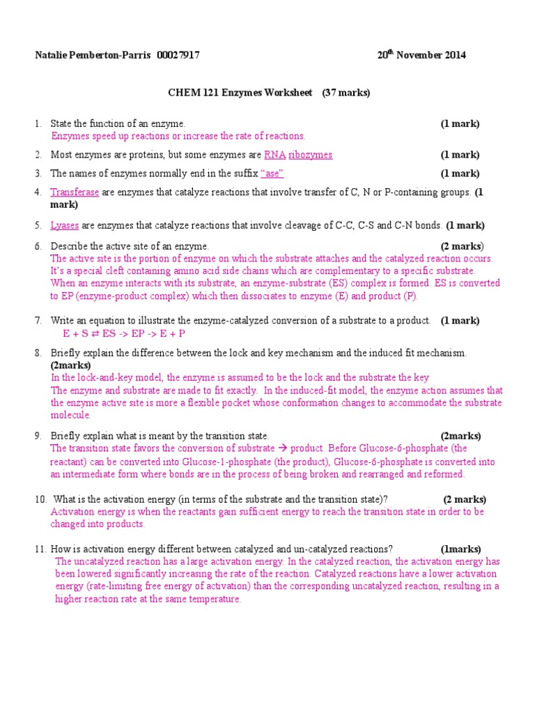 Enzymes Worksheet | PDF | Enzyme | Active Site
