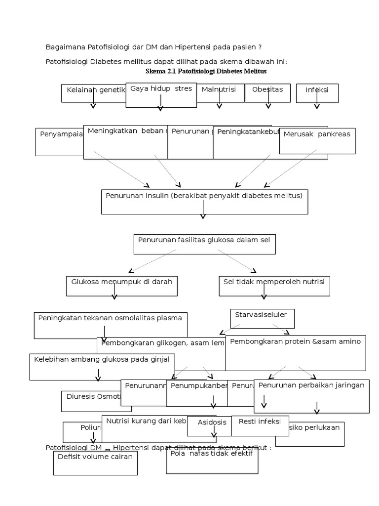 Patofisiologi DM Dan Hipertensi | PDF