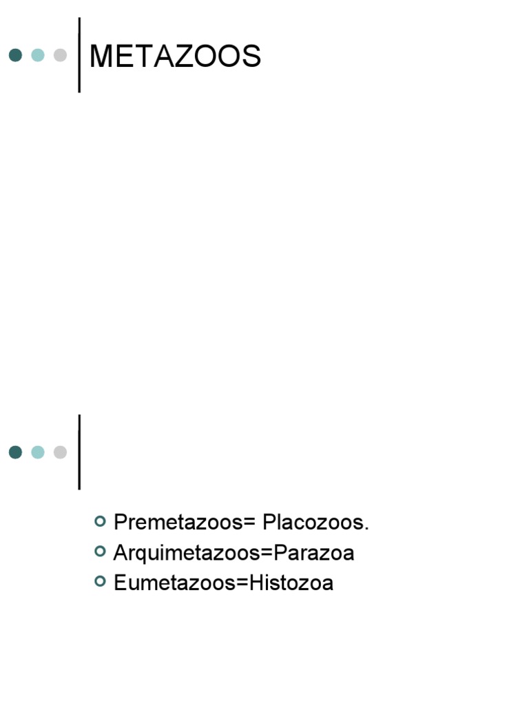 METAZOOS, Organiz | PDF | Biología del desarrollo | Reproducción