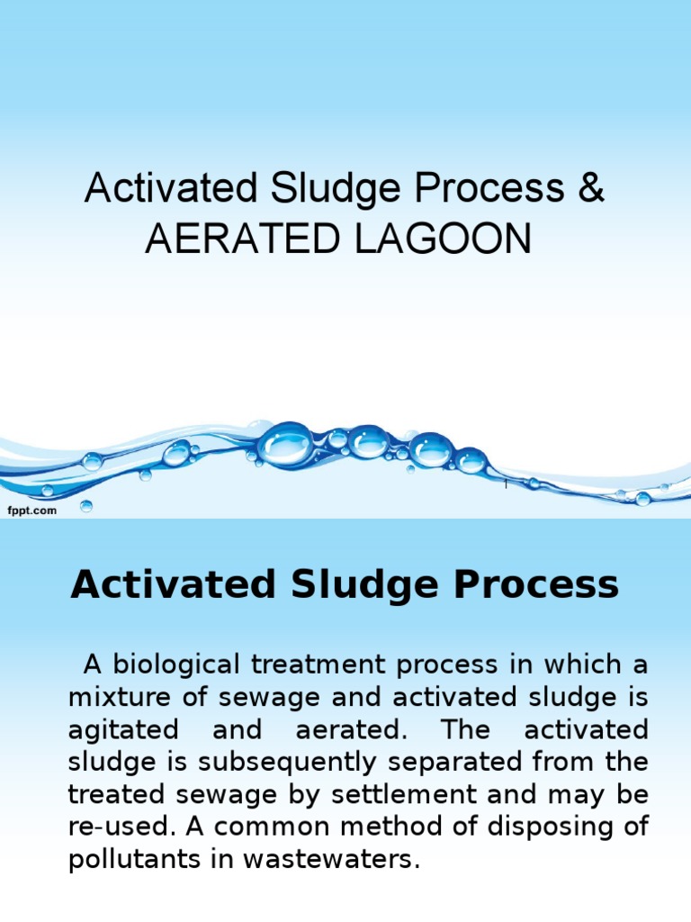 Activated Sludge & Aerated Lagoon Guide | PDF | Sewage Treatment ...